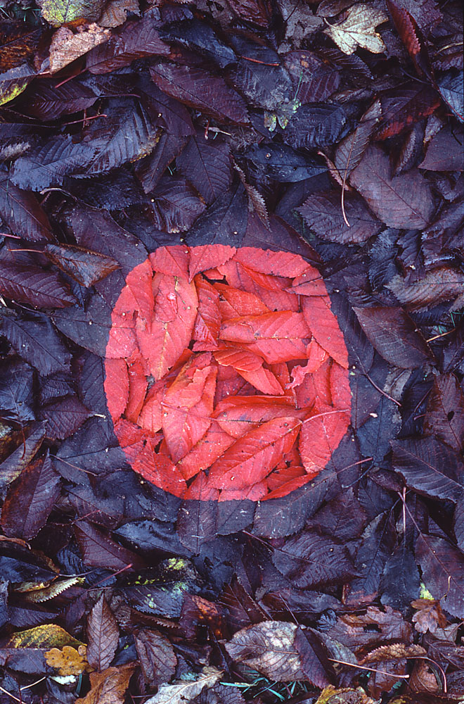 Andy Goldwworthy Red Cherry Leaf Patch, Cumbria 1984
